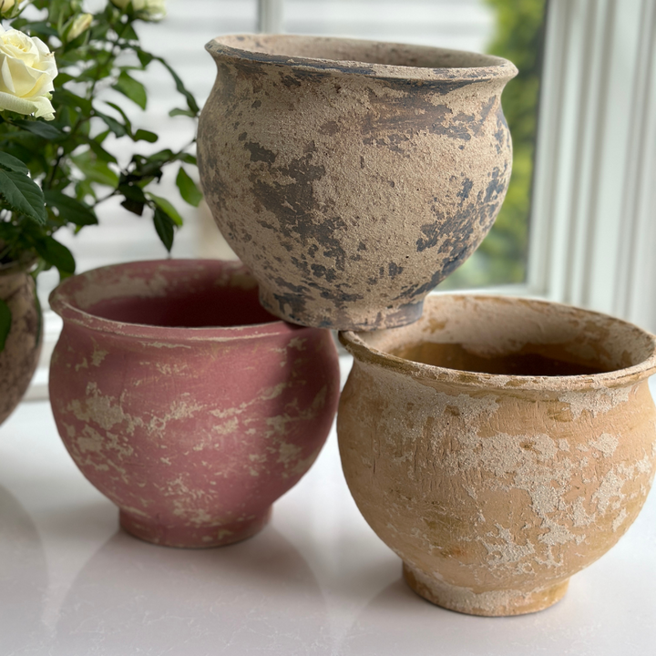 New Arrivals – Arte Italica